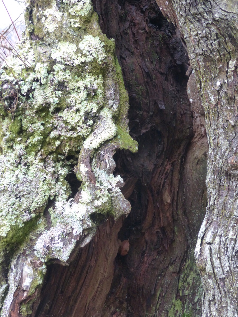 Montefegatesi | Bagni di Lucca and Beyond