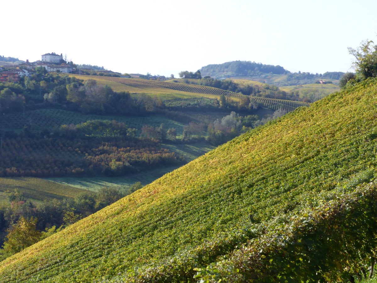 Vietti | Bagni di Lucca and Beyond